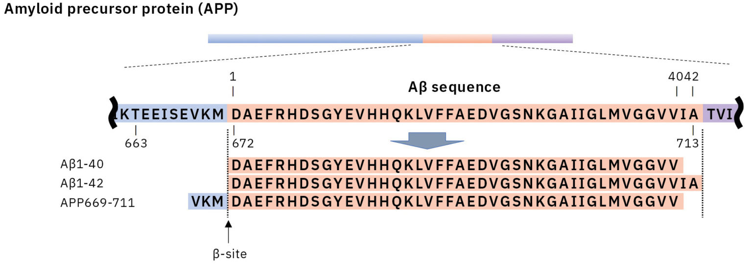 MS detection of Alzheimer’s blood-based biomarkers – secrets of science
