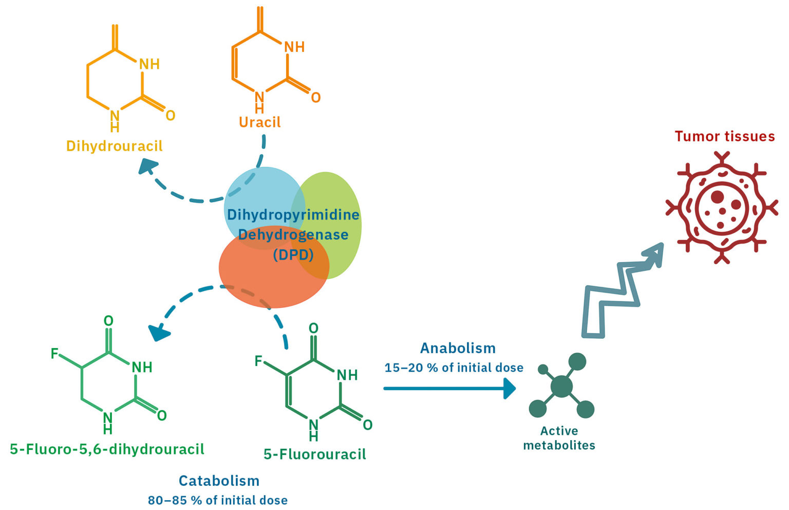 DOSIURA™, a new solution for DPD deficiency screening – secrets of science